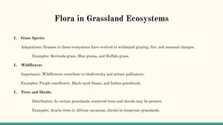 EVS Presentation on Grassland Ecosystems | PPT