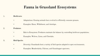 EVS Presentation on Grassland Ecosystems | PPT
