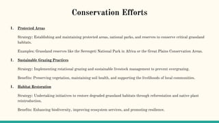 EVS Presentation on Grassland Ecosystems | PPT
