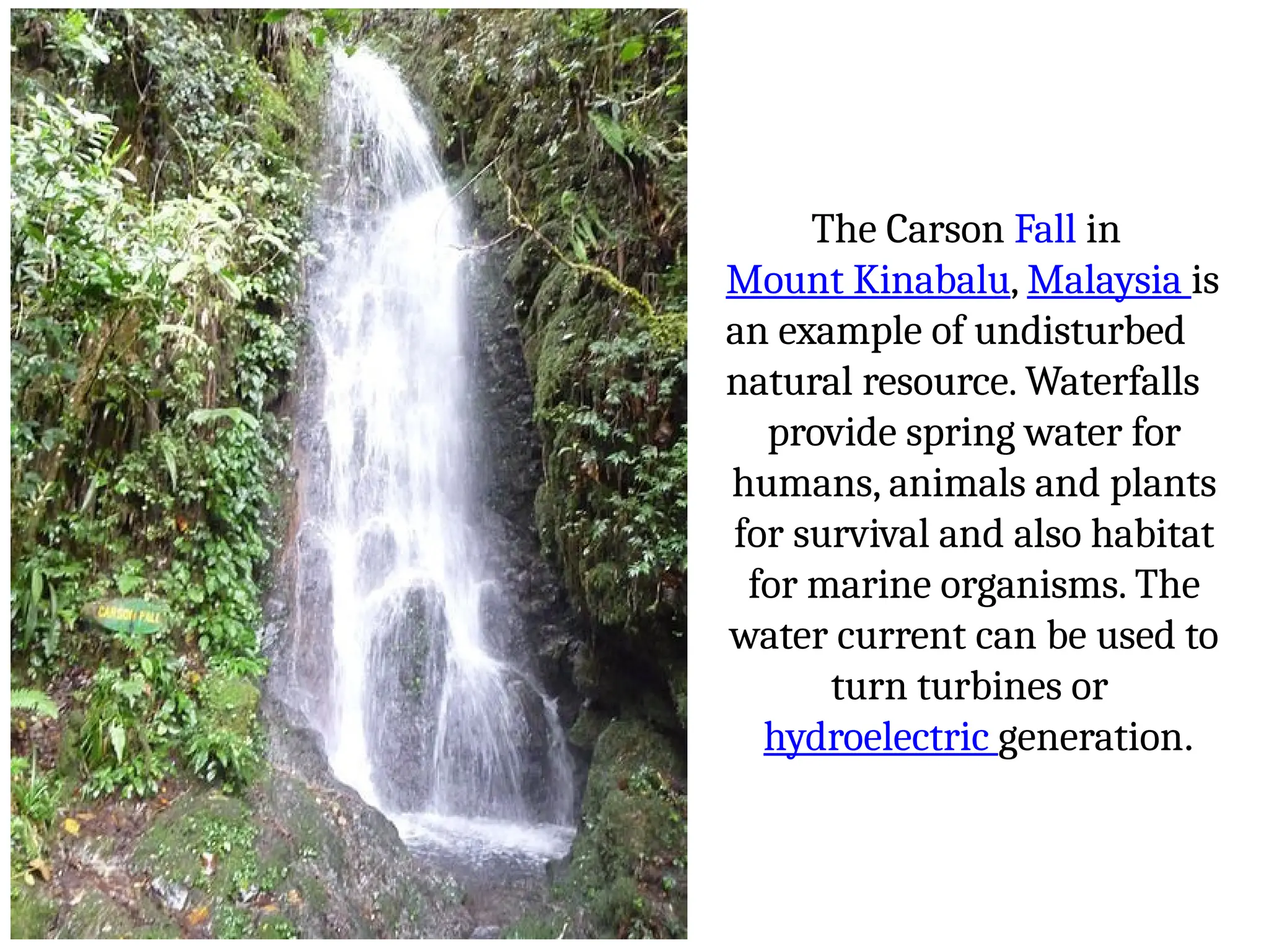 Environmental Science Module 1 Power point | PPTX