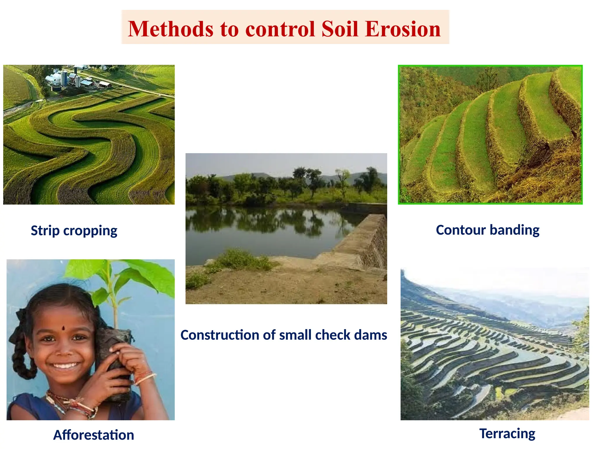 Environmental Science Module 1 Power point | PPTX