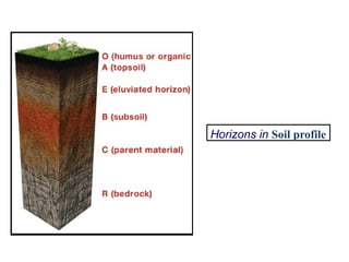 Environmental Science Module 1 Power point | PPTX