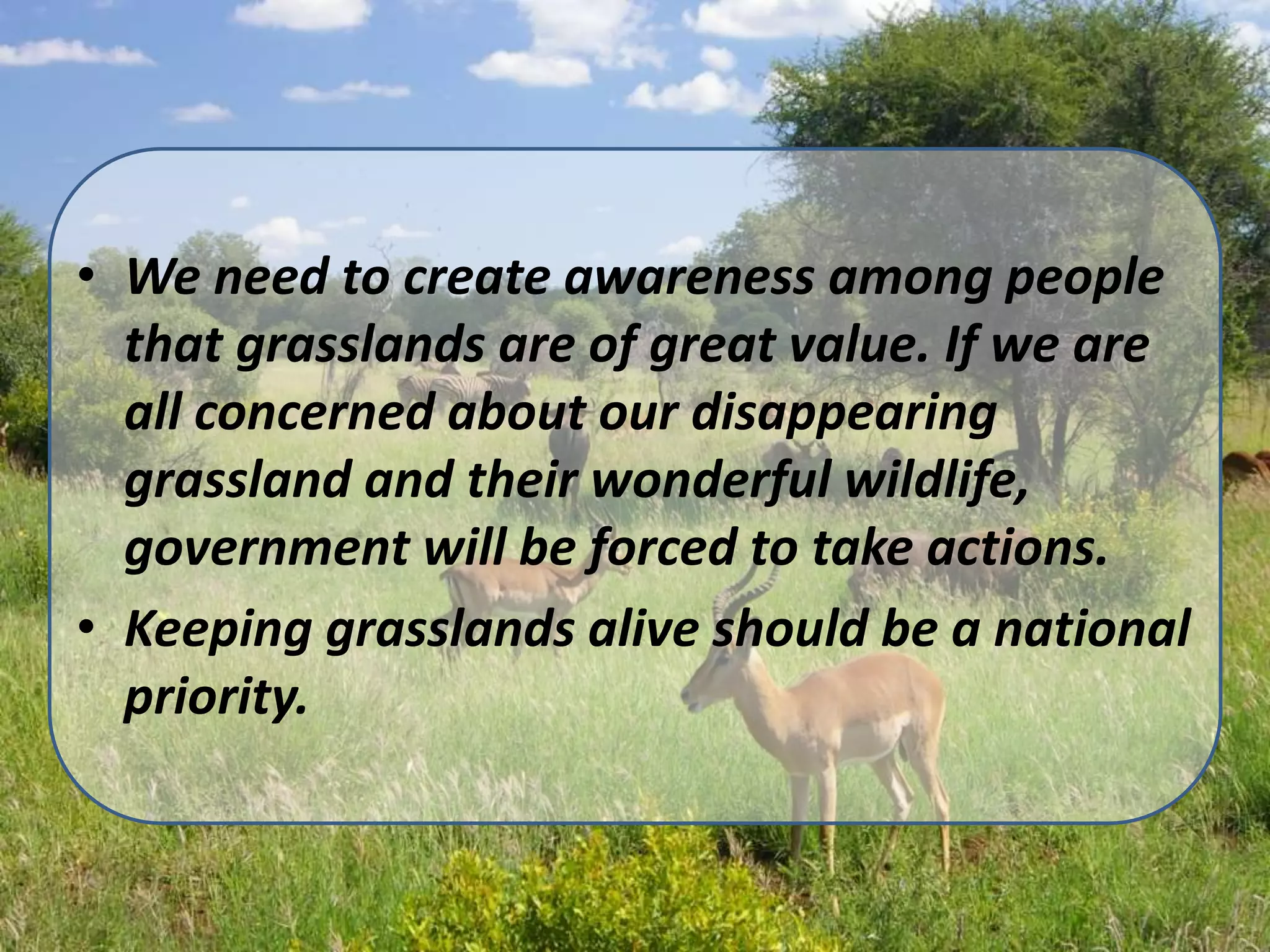 GRASSLAND ECOSYSTEMS EVS PPT | PPTX
