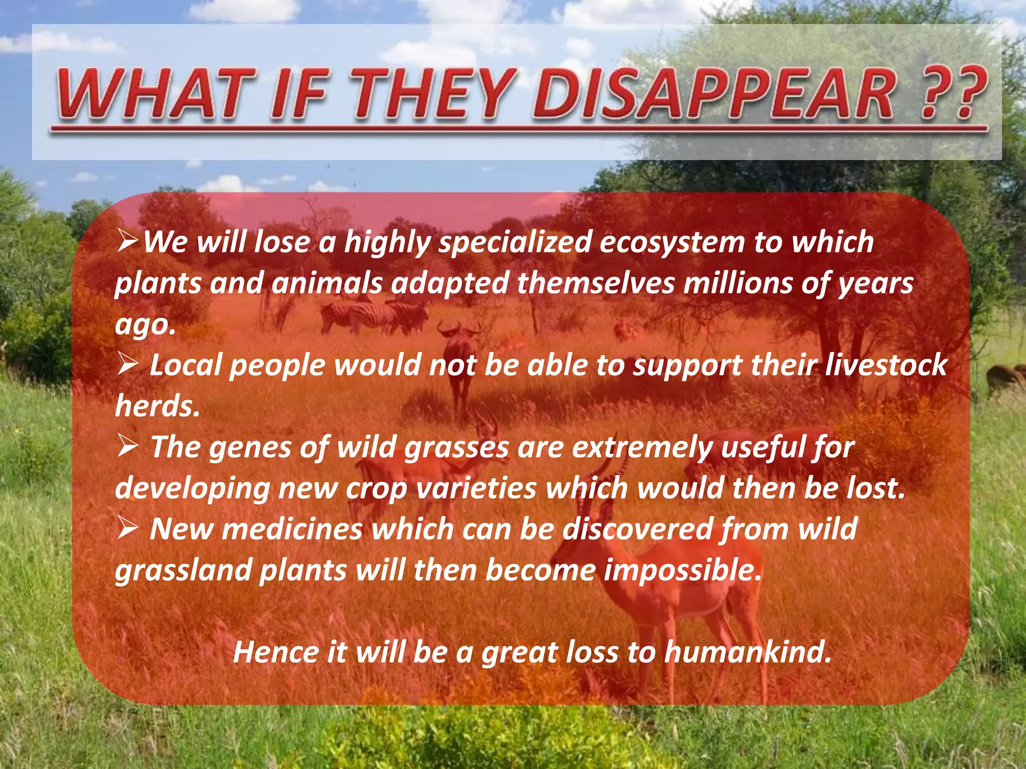 GRASSLAND ECOSYSTEMS EVS PPT | PPTX