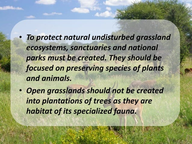 GRASSLAND ECOSYSTEMS EVS PPT | PPTX