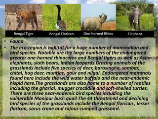 GRASSLAND ECOSYSTEMS EVS PPT | PPTX