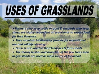 GRASSLAND ECOSYSTEMS EVS PPT | PPTX