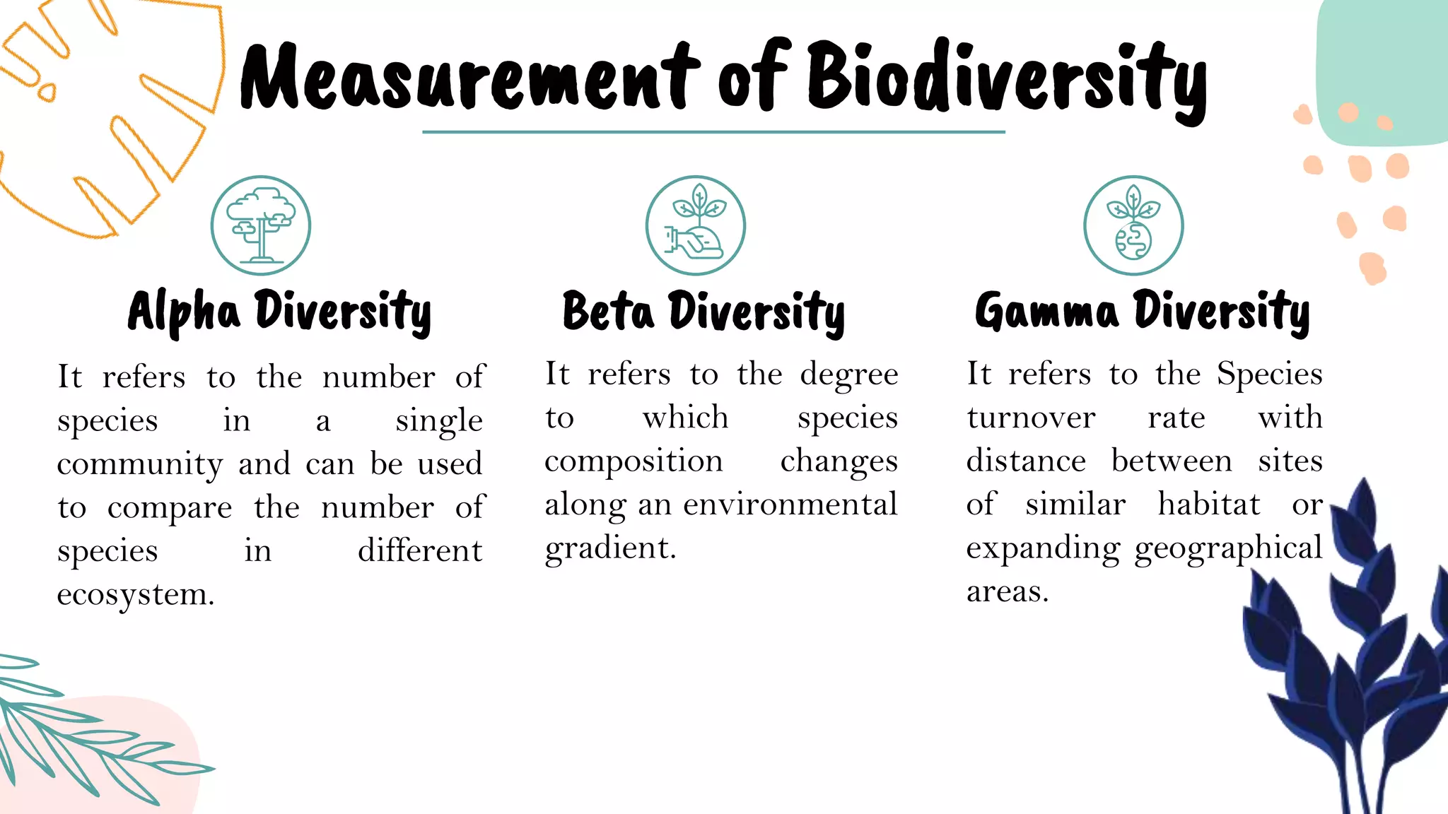 Biodiversity | PPTX | Environment | Science