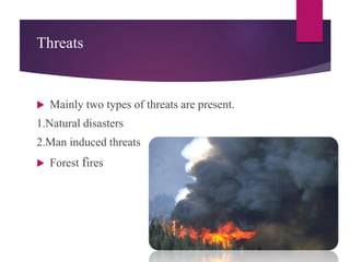 conservation of natural resources | PPTX