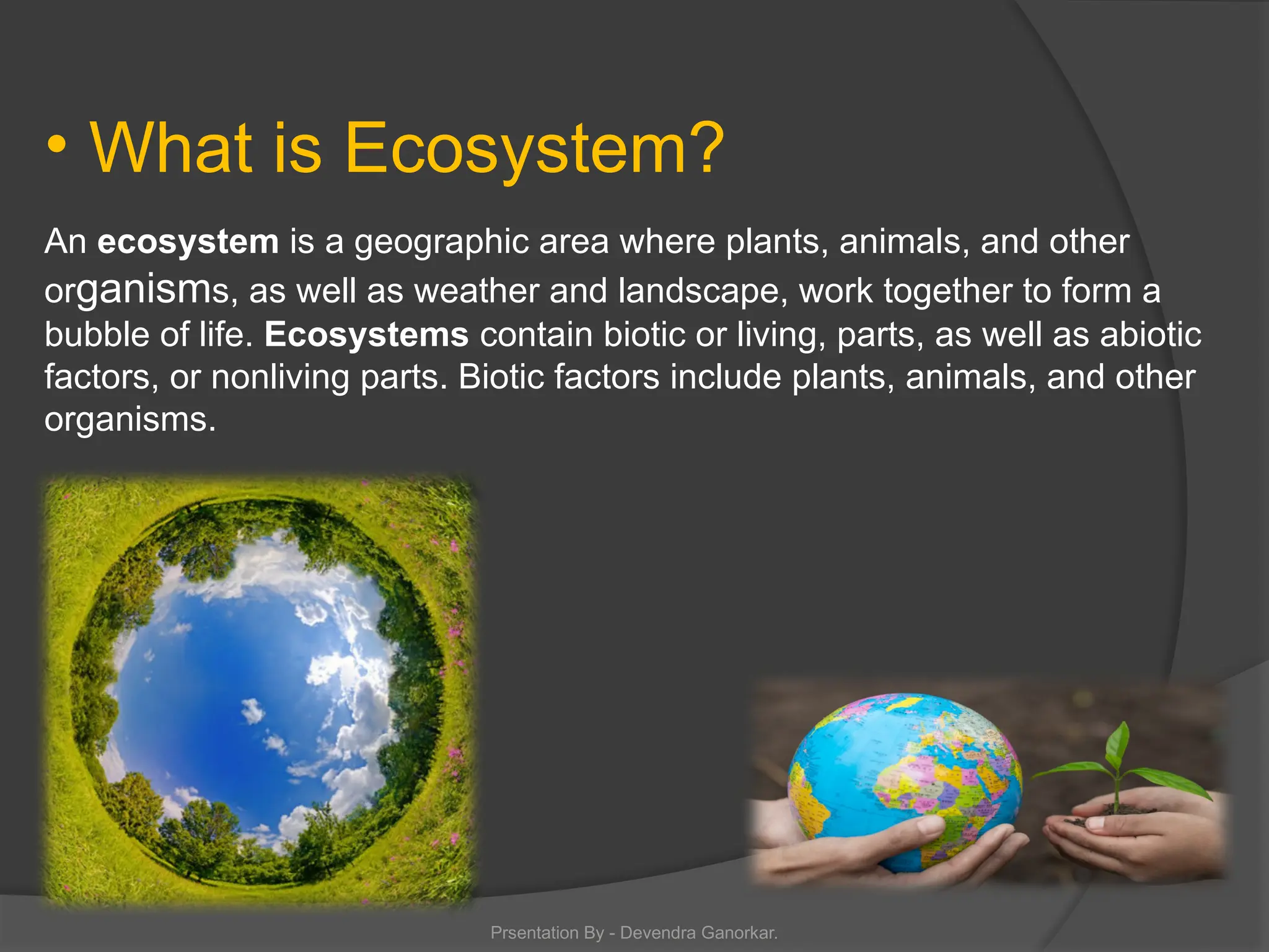 "Aquatic Ecosystems: Types, Functions, and Importance | EVS Presentation" | PPTX