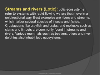 "Aquatic Ecosystems: Types, Functions, and Importance | EVS ...