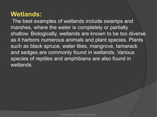 "Aquatic Ecosystems: Types, Functions, and Importance | EVS ...