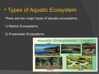 "Aquatic Ecosystems: Types, Functions, and Importance | EVS ...