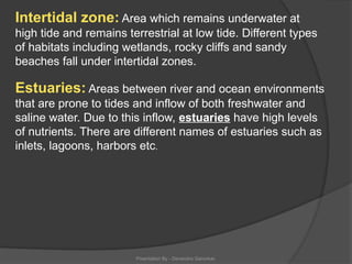 "Aquatic Ecosystems: Types, Functions, and Importance | EVS ...