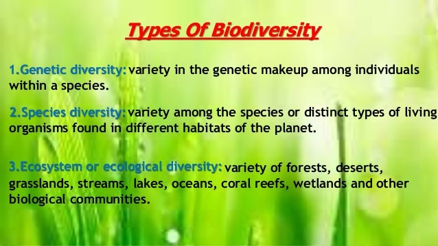 Evs presentation- types of biodiversity