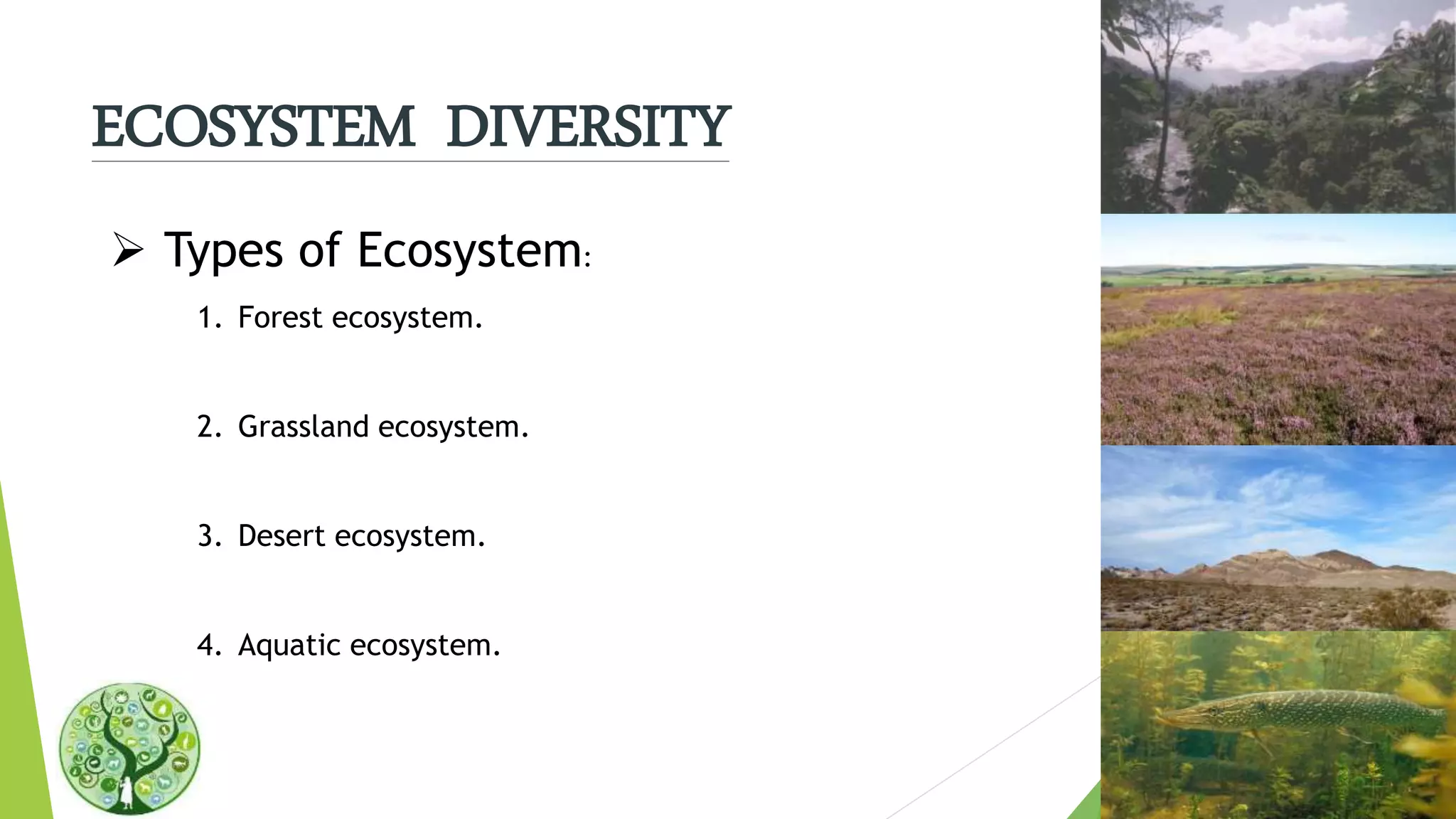 BIODIVERSITY & ITS TYPES | PPTX