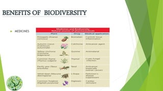 BIODIVERSITY & ITS TYPES | PPTX