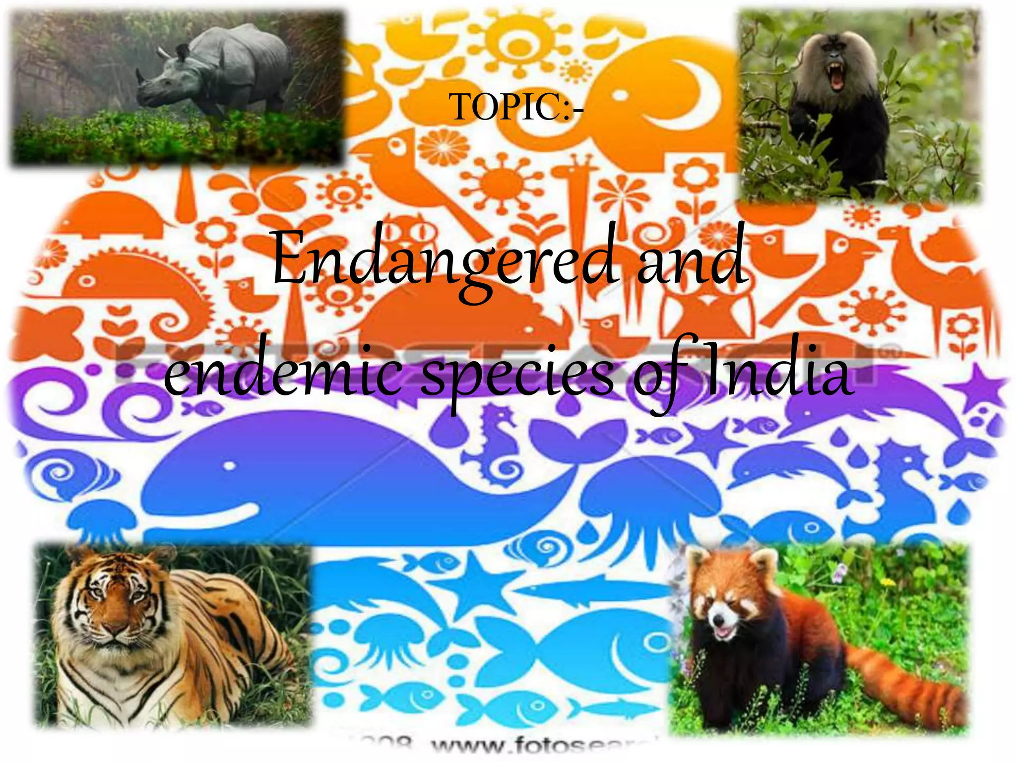 Endangered and Endemic species of India | PPTX