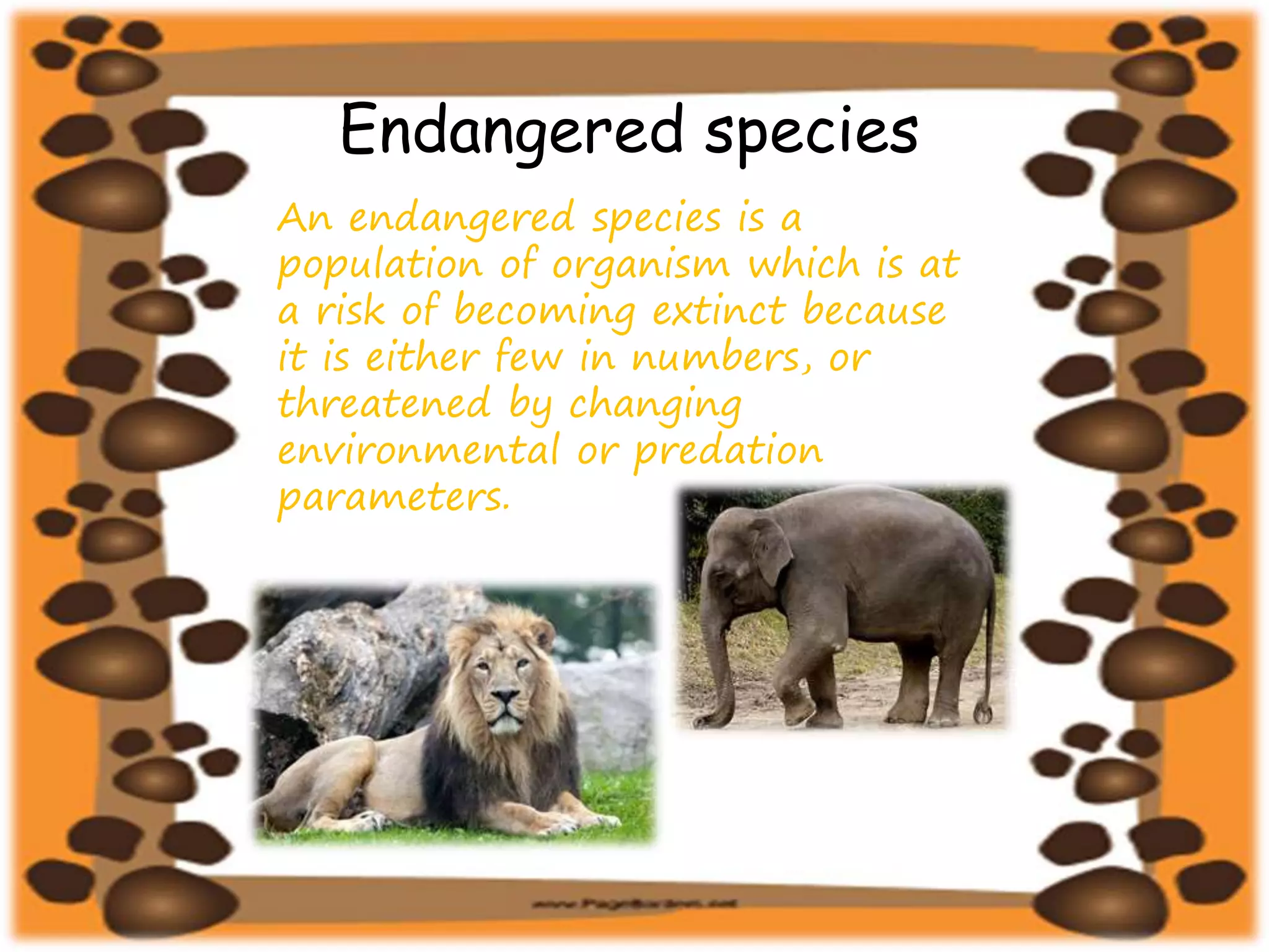 Endangered and Endemic species of India | PPTX
