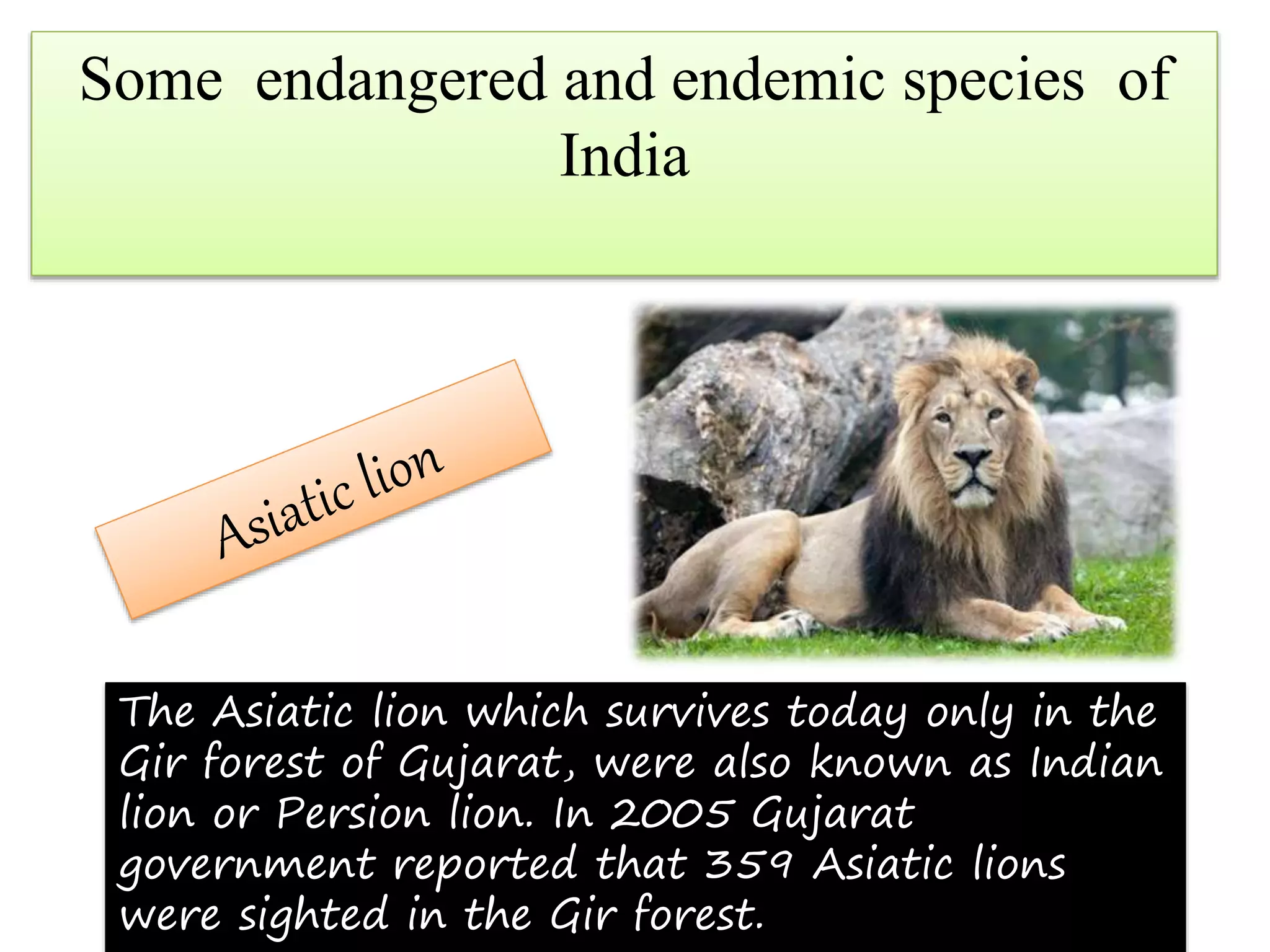 Endangered and Endemic species of India | PPTX