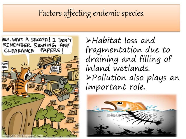 Endangered and Endemic species of India | PPTX | Geography | Science