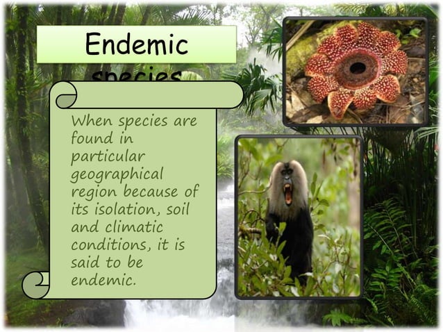 Endangered and Endemic species of India | PPTX | Geography | Science