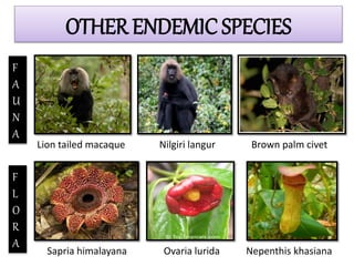 Endangered and Endemic species of India | PPTX | Geography | Science