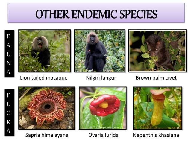 Endangered and Endemic species of India