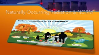Radioactive Pollution (EVS) | PDF