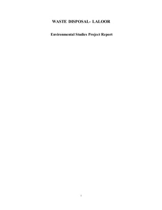 EVS Report.doc