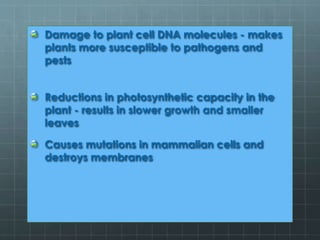 ozone layer depletion | PPTX | Indoor Environmental Quality | Home & Garden