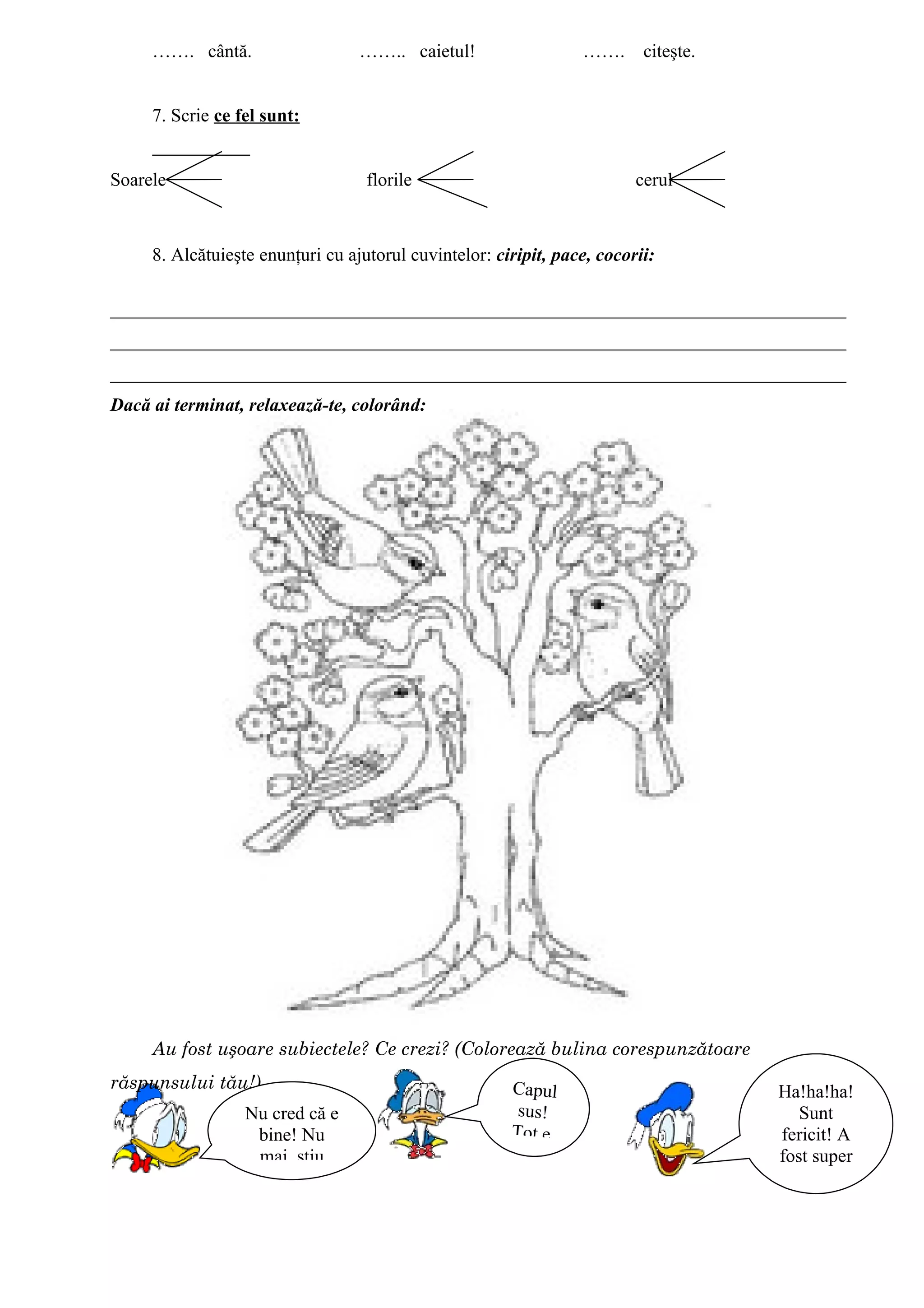 Ev sumativa primavara | DOC