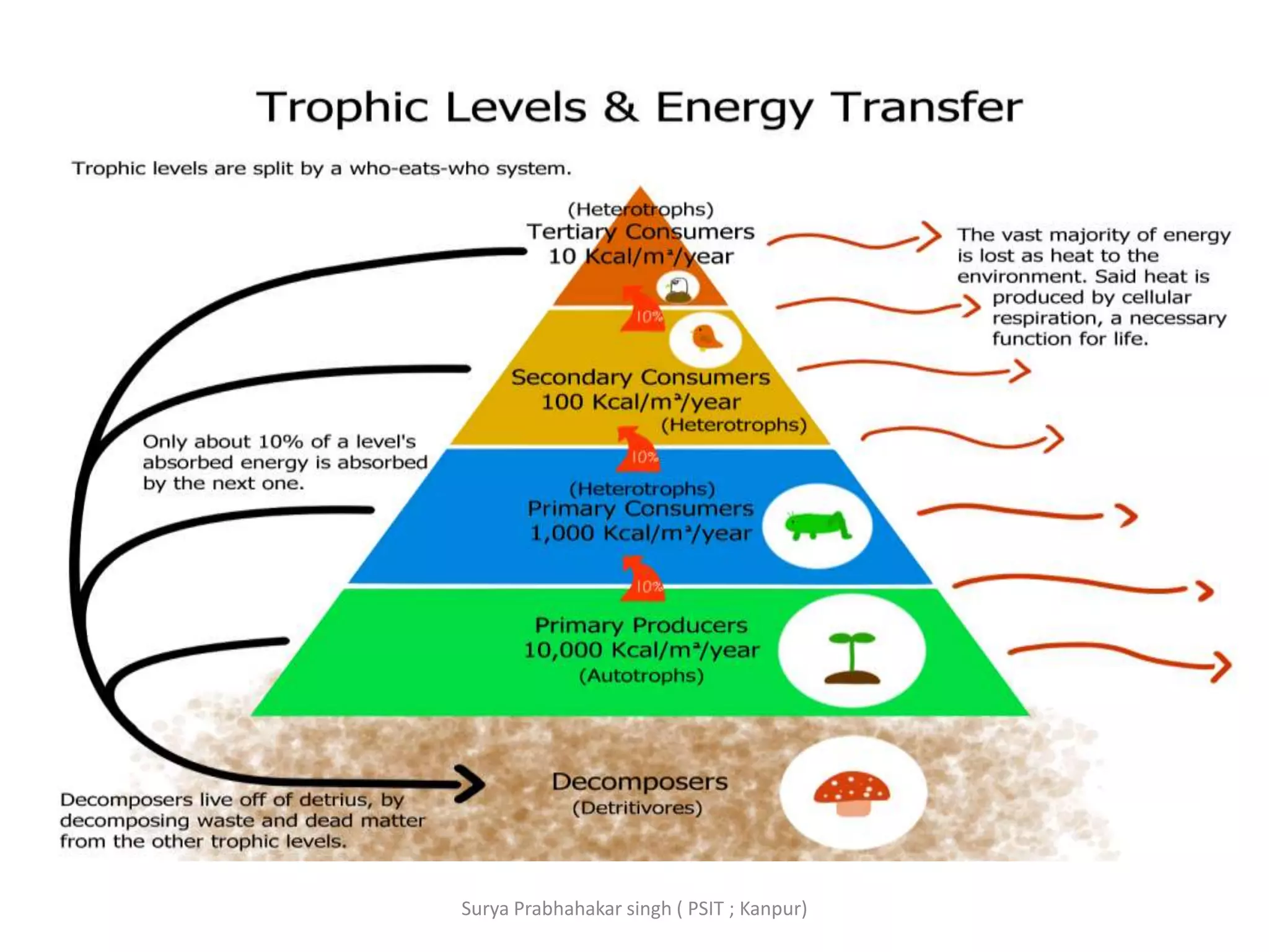 evs UNIT-2nd ecosystem.pptx