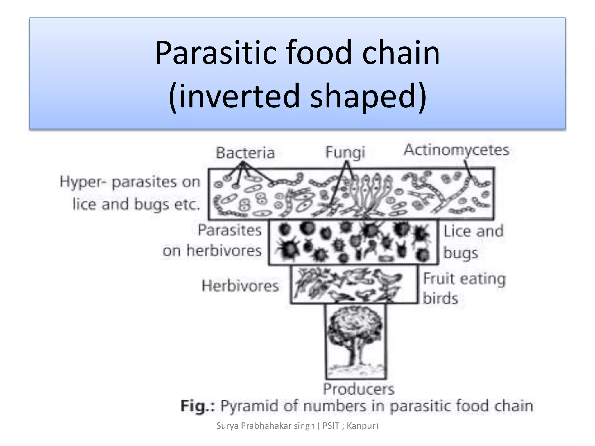 evs UNIT-2nd ecosystem.pptx