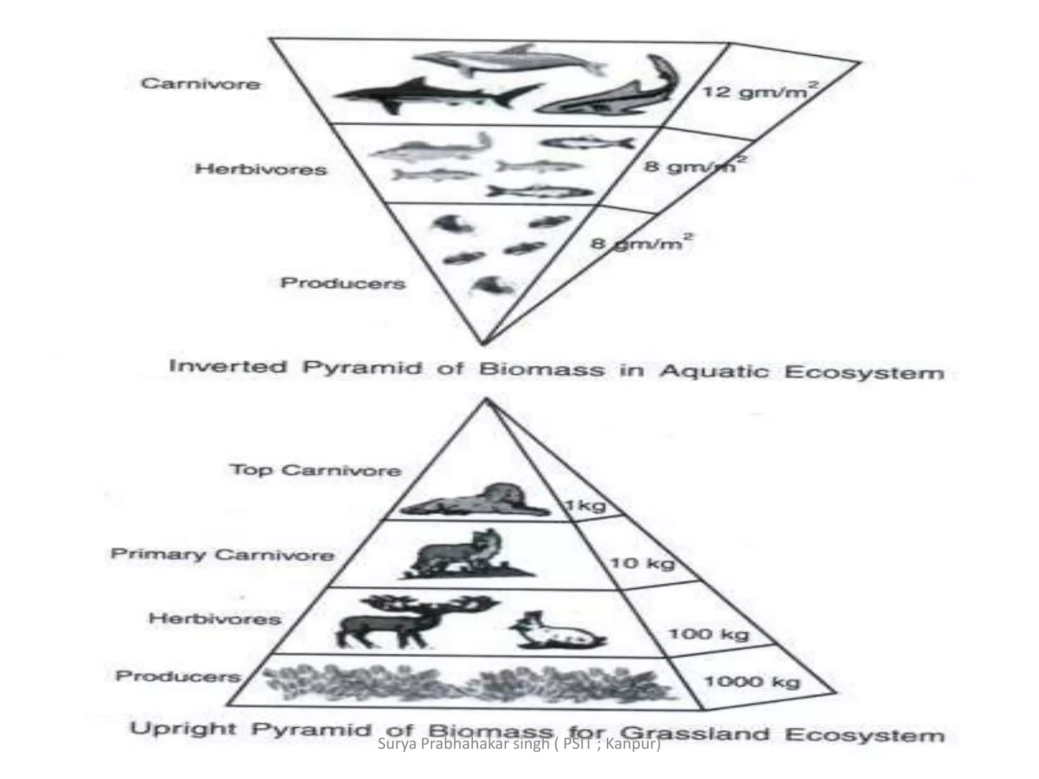 evs UNIT-2nd ecosystem.pptx