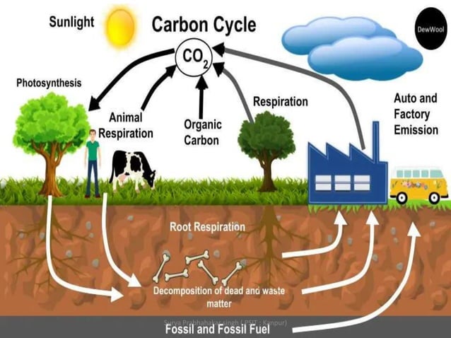 evs UNIT-2nd ecosystem.pptx | Geography | Science