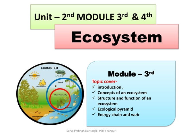 evs UNIT-2nd ecosystem.pptx | Geography | Science