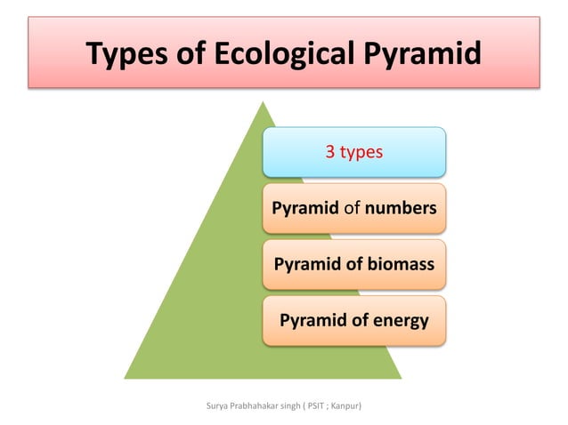 evs UNIT-2nd ecosystem.pptx | Geography | Science