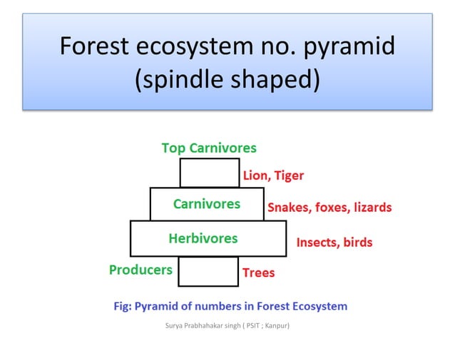 evs UNIT-2nd ecosystem.pptx | Geography | Science