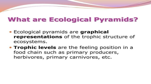 EVS UNIT 3 PPT (ECOSYSTEM).pptx Str.&Functions | PPTX | Geography | Science