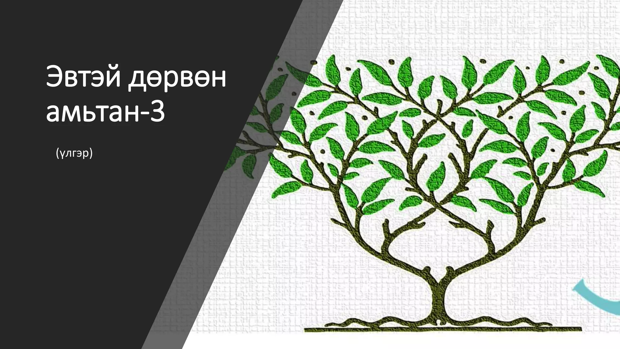 Evtei 4 amitan 3 | PPTX