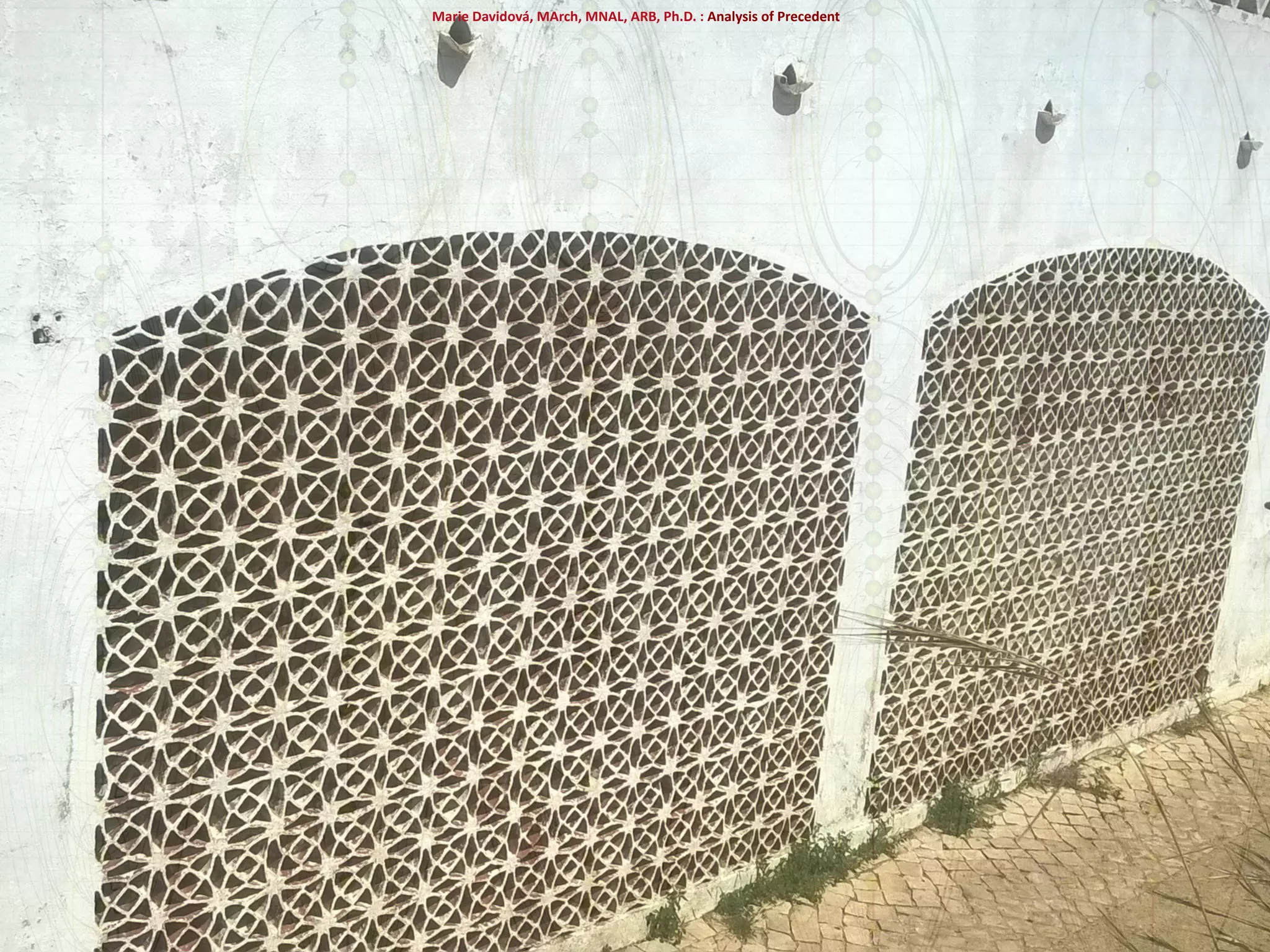 Davidova Breathing Walls | PPT