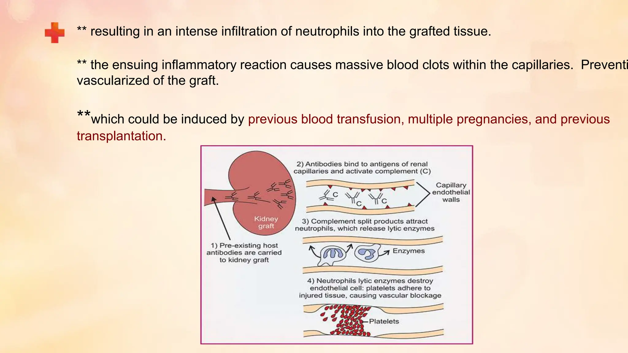 transplantation_and_rejection , classification of graft , rejection ...
