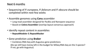Predicting risk via analysis of Phytophthora genome evolution | PPTX ...