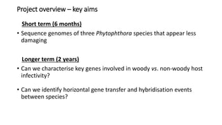 Predicting risk via analysis of Phytophthora genome evolution | PPTX ...