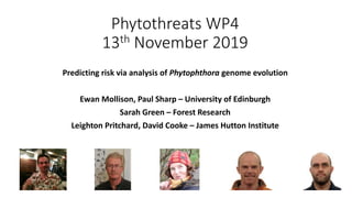 Ewan mollison wp4 13 Nov 19 | PPT