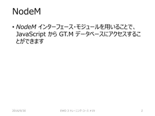 EWD 3トレーニングコース#19 JavaScriptからGlobalストレジにアクセスする | PPT