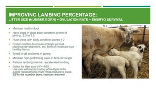 Ewe efficiency | PPTX