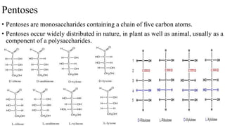 Important_Monosaccharides uygrdyeseyretj | PDF