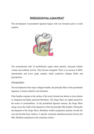 Development of periodontium | DOC
